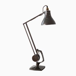 Drew Pritchard Online Shop | Shop Lighting at Pamono